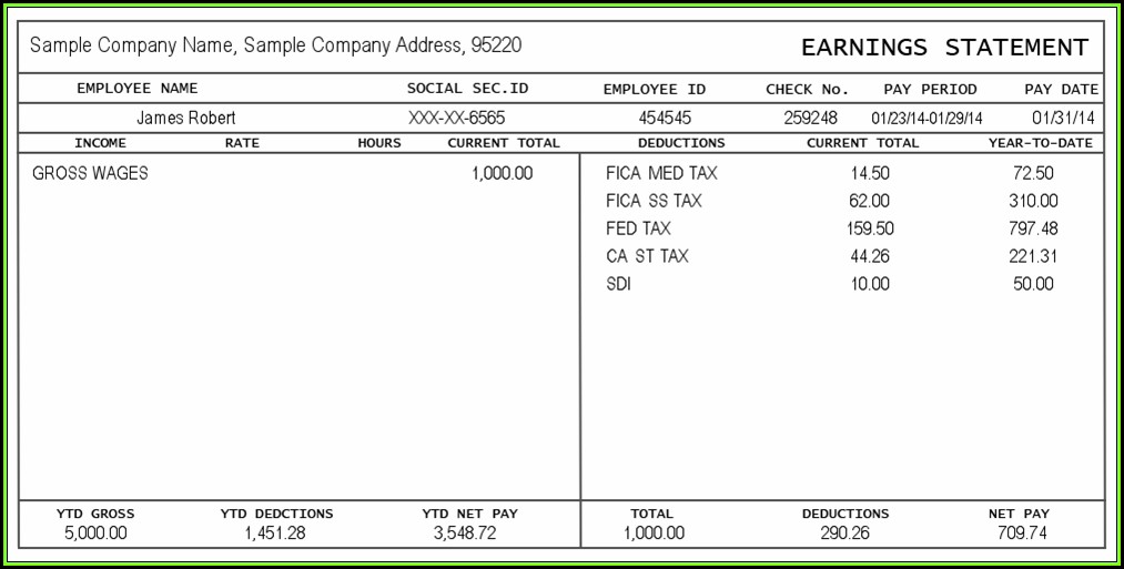 Check Stubs Templates Template 1 Resume Examples xJKEr223rk